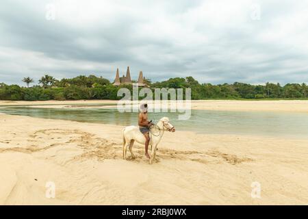 A member of the Marapu Sumba Tribe gracefully rides a horse along the ...