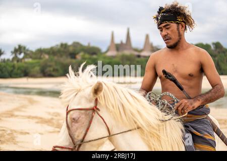 A member of the Marapu Sumba Tribe gracefully rides a horse along the ...