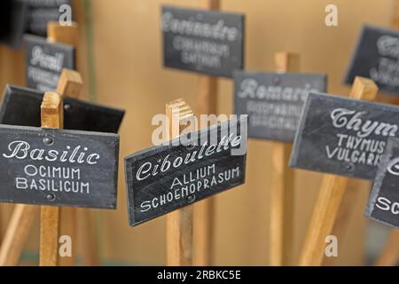 Market day in Caromb, Vaucluse, Provence-Alpes-Côte d'Azur, France ...