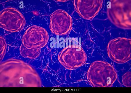 blood cells visible under a microscope Stock Photo - Alamy