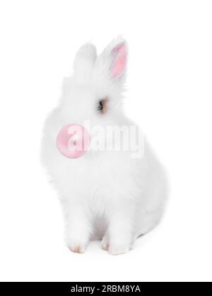 Fluffy rabbit with bubble of chewing gum on white background Stock ...