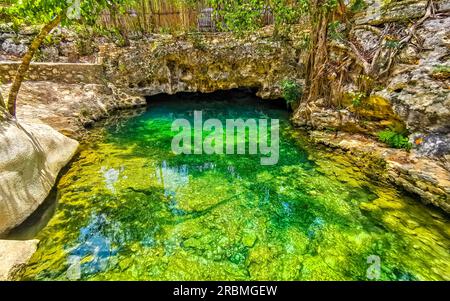 Beautiful Cenote Park Aktunchen with limestone rocks turquoise blue ...
