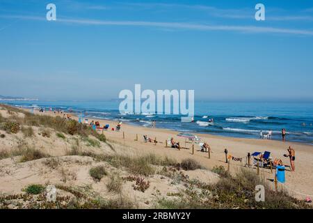 Oliva Nova dune beach, view from the beach chiringuito, on the beach ...