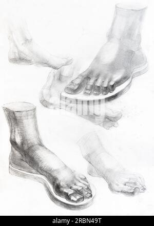 educational hand-drawn drawings of human foots and cast of foot on ...
