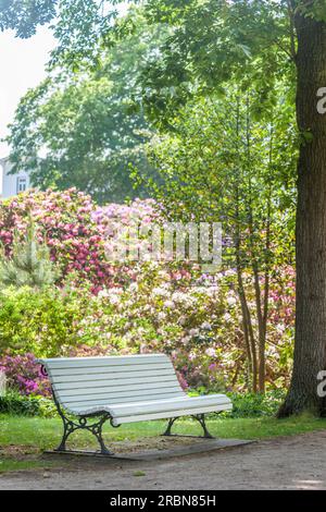 Rhododendron Garden in Graal-Müritz, Mecklenburg-West Pomerania, Baltic ...