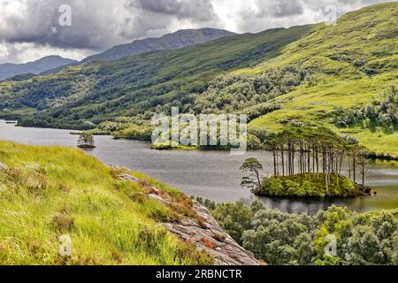 Dumbledore's Grave Lochailort Scotland the island with large Scots Pine ...