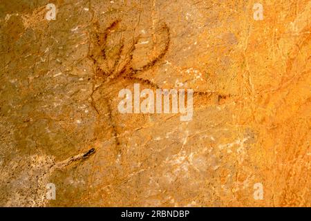 France, Lot (46), Cabrerets, Grotte du Pech Merle, Center of Prehistory ...
