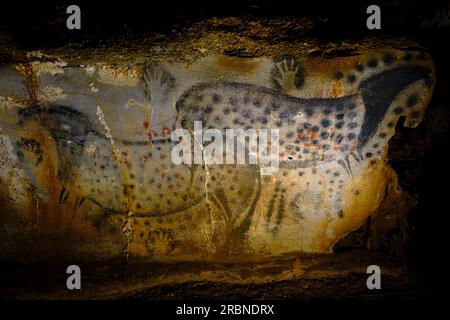 France, Lot (46), Cabrerets, Grotte du Pech Merle, Center of Prehistory ...