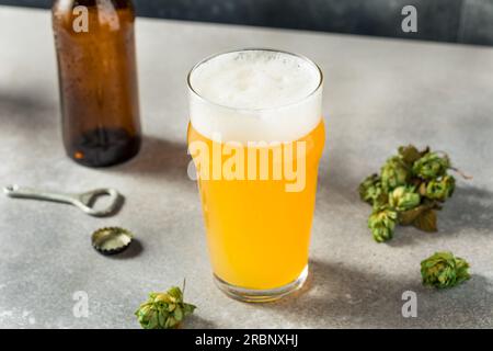 Cold Refreshing Hazy IPA Beer in a Pint Glass Stock Photo - Alamy