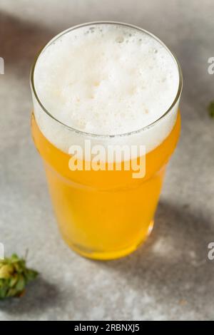 Cold Refreshing Hazy IPA Beer in a Pint Glass Stock Photo - Alamy
