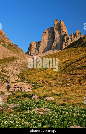Peak in Lescun Cirque. Aspe Valley, Pyrenees in France Stock Photo - Alamy