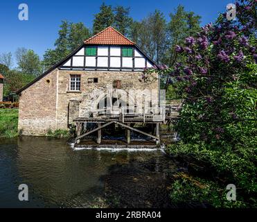 Oil mill at Brake castle at Lemgo Stock Photo - Alamy