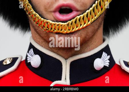 A sentry from the Canadian Ceremonial Guard stands in front of Rideau Hall, residence of the ...