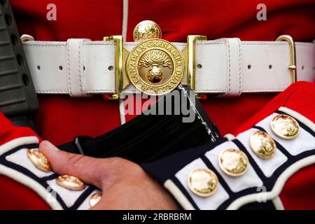 A sentry from the Canadian Ceremonial Guard stands in front of Rideau Hall, residence of the ...