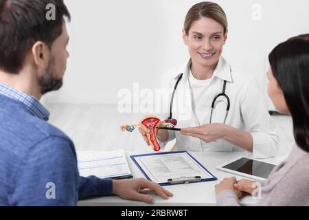 Fertility doctor demonstrating model of female reproductive system to ...