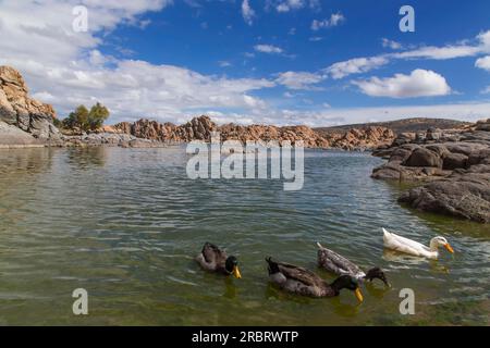 Lake views in the Arizona desert Stock Photo - Alamy