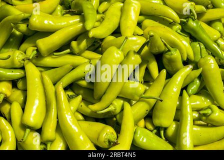 Capsicum in Kodaikanal, Tamil Nadu, India, Asia Stock Photo - Alamy