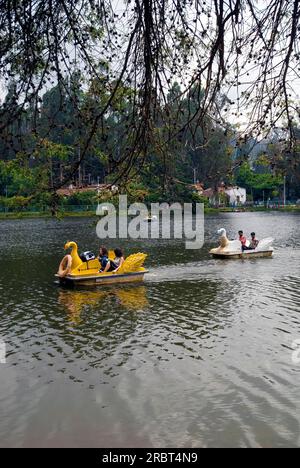 Tourists enjoying boating in Kodai Kodaikanal lake, Tamil Nadu, South ...