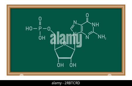 Chemical structure of DNA nucleotide. Three parts of a nucleotide. Phosphate group, pentose ...