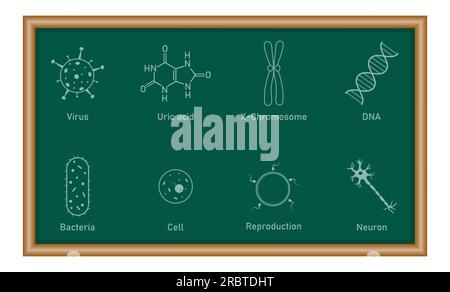 Biology science icon. Uric acid, bacteria, cell, neuron, virus, DNA ...