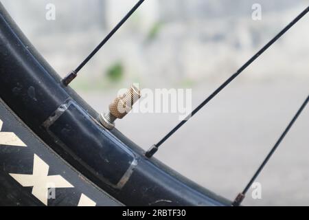 valve cap. wheel inflation valve on a bicycle Stock Photo - Alamy
