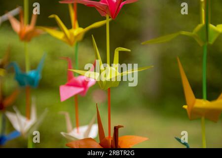 Draped Strand of Origami Crane Curtain for a ceremony Stock Photo - Alamy