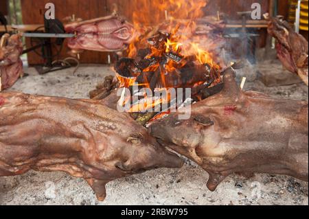 Porceddu, roast baby pork wrapped around a spit, typical Sardinia ...