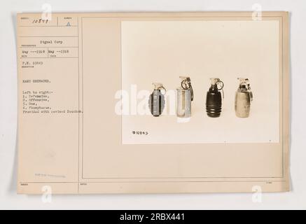 Left to right: Defensive, Offensive, Gas, and Phosphorus hand grenades ...