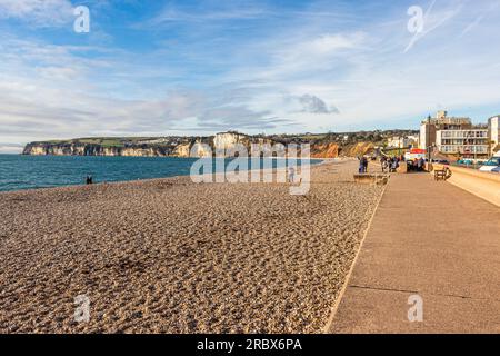 Seaton Town and shingles beach is situated between Axmouth and Beer on ...