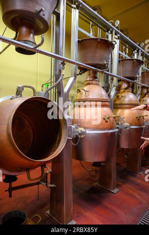 Gin alcoholic drink distillation process in copper tanks in Spanish ...