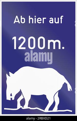 Wild boar warning sign Stock Photo - Alamy