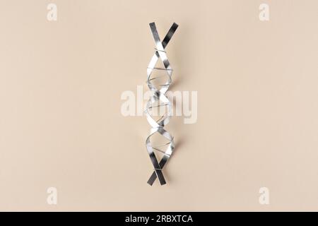DNA molecular chain model made of metal on grey background, top view ...