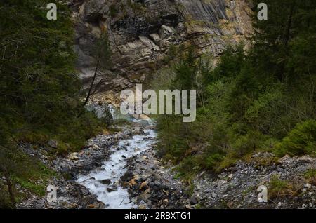 A flowing river surrounded by growing plants Stock Photo - Alamy