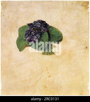 Albrecht Dürer - Violet Bouquet Stock Photo - Alamy
