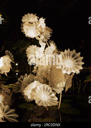Ethereal White Persian Pond, 2018, by Dale Chihuly, illuminated as part of the Chihuly Nights ...