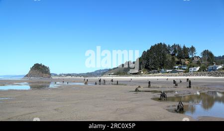 Along the Oregon Coast: Proposal rock with the Neskowin Ghost Forest ...