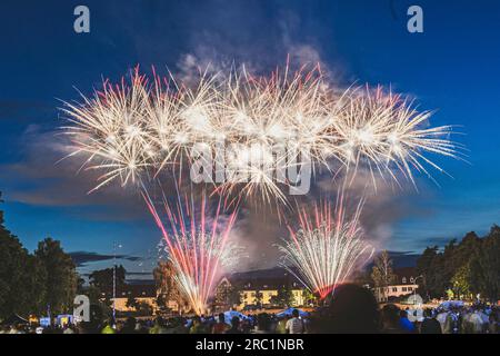 Fireworks flew over the 7th Army Training Command’s Tower Barracks ...
