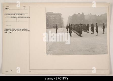 Soldiers from the Signal Corps conducting communications training ...