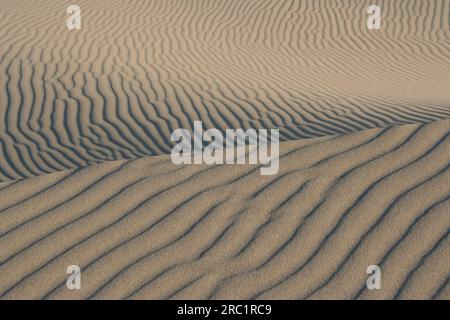 Patterns in the sand of the Oregon Sanddunes, USA Stock Photo - Alamy