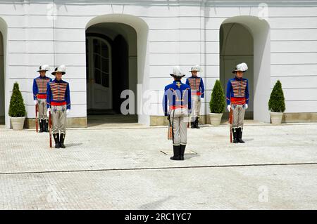 Presidential Palace, Grassalkovic Palace, Grasalkowicz Palace, seat ...