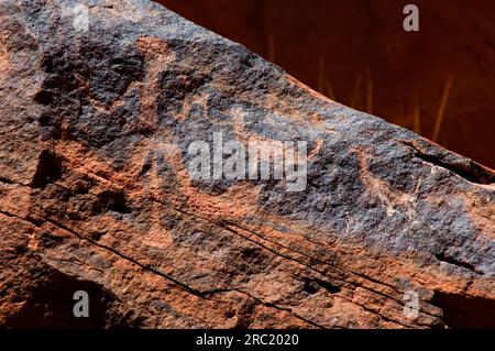 Rock drawing of guanacos, Talampaya National Park, La Rioja Province ...