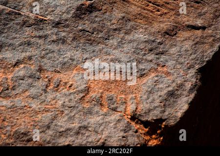 Rock drawing of guanacos, Talampaya National Park, La Rioja Province ...