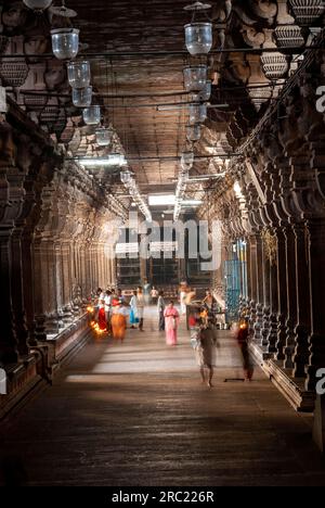 Colonnade in the second Prakara corridor in Thillai Nataraja Temple ...
