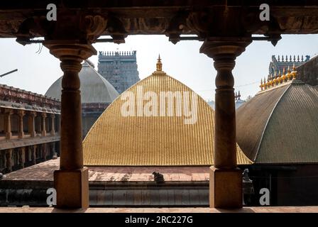 Golden tiled Chit Ambalam of Thillai Nataraja Temple, one of the five ...
