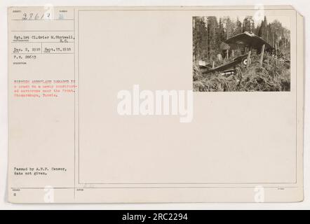 Sgt. 1st. Cl. Grier M. Shotwell, 8. C. in the photograph captured the ...