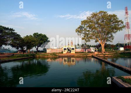 Village guardian temple with tank and a arasamaram Sacred fig (Ficus ...