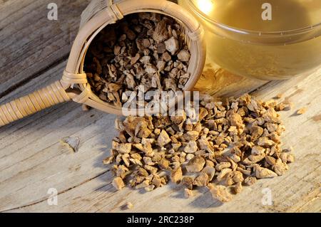 Large-headed Atractylodes Rhizome Tea (Atractylodis macrocephalae Rhiz ...