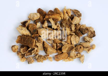 Large-headed Atractylodes root (Atractylodis macrocephalae Rhiz.), Bai ...
