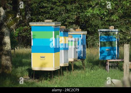 Multi-colored bee hives. Stand in rows in a village garden Stock Photo ...