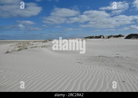 The beach between Norden and Nebel, Amrum, Germany Stock Photo - Alamy